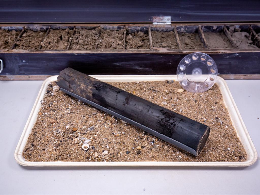 Visual identification and classification | Wiertsema & Partners